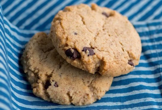 Nui Low Sugar Diet Cookies Shark Tank Season 10
