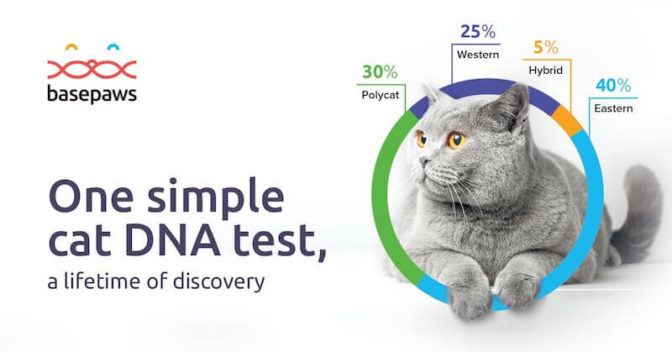 Basepaws Cat DNA Kit Shark Tank Season 10