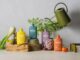 Arber Plant Care from Shark Tank Season 15