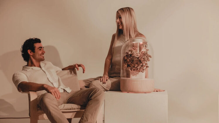 Terrashroom Mushroom Grow Chamber on Shark Tank Season 16