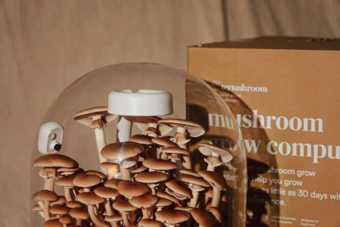 Terrashroom Mushroom Grow Chamber on Shark Tank Season 16
