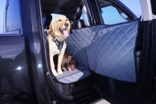 Ruff Liners Dog Car Seat Covers on Shark Tank Season 16